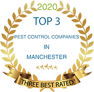 Pest Control in Manchester, NH - Anchor Pest Services