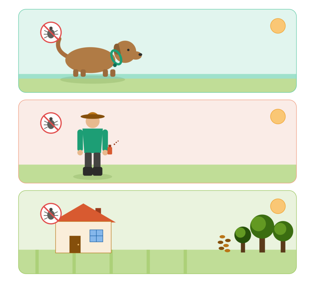 Ticks on Dogs: How to Find Them, Remove Them, and Stop Them - Anchor ...